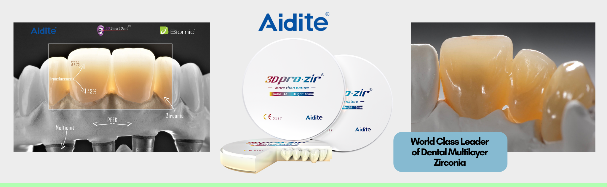 Aidite – Bio Link Medical Surgical Equipment & Instruments Trading